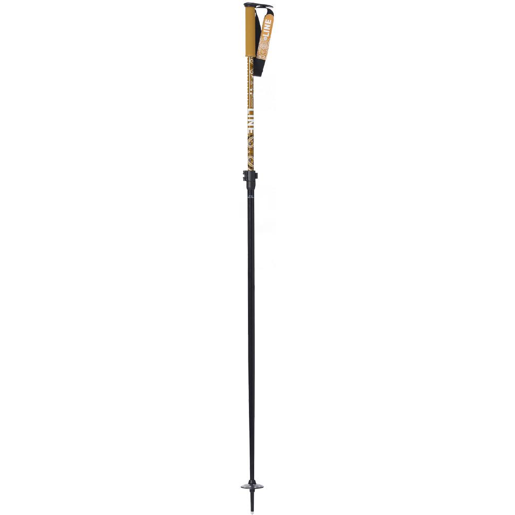 Line Paintbrush Ski Poles 2025